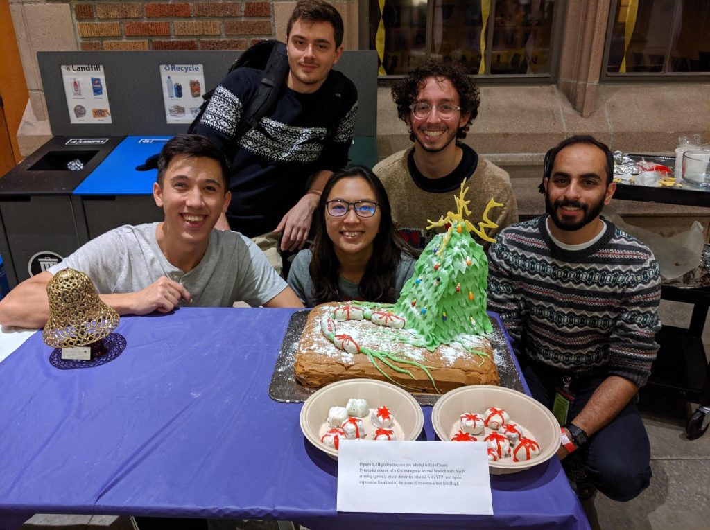 Photo Gallery – NERD Lab: Neural Engineering and Rehabilitation Design