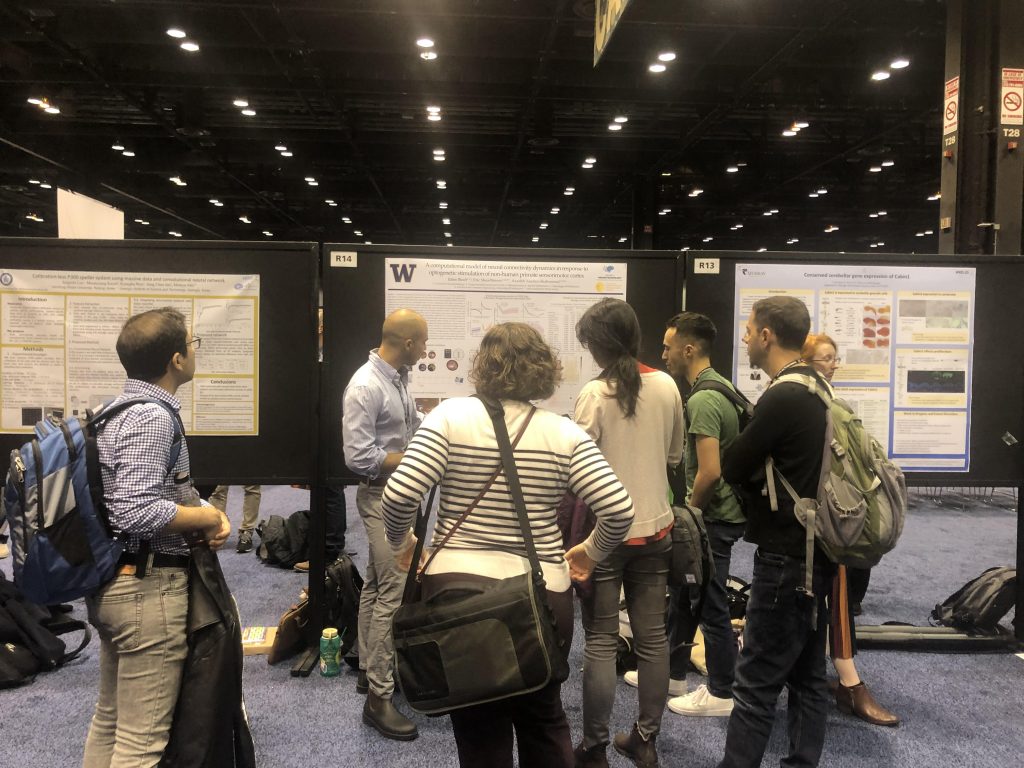 Our lab presented four posters at the Society for Neuroscience this ...